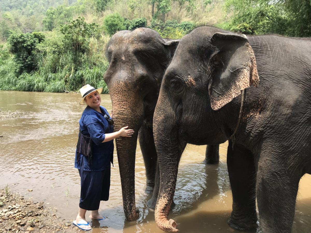 Elephant Sanctuary, Monk Trail & Doi Suthep Tour : Elephant ChiangMai Thailand Elephant ...